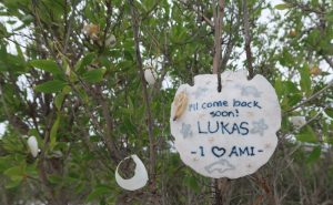 Ten reasons Anna Maria Island is one of our favorite places in Florida ...