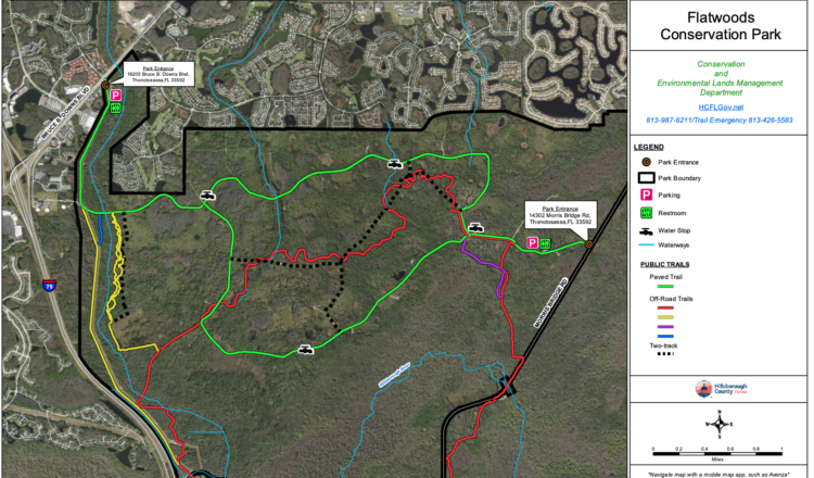 Tampa's Flatwoods Bike Trail: One of the Best Bike Trails in Florida ...