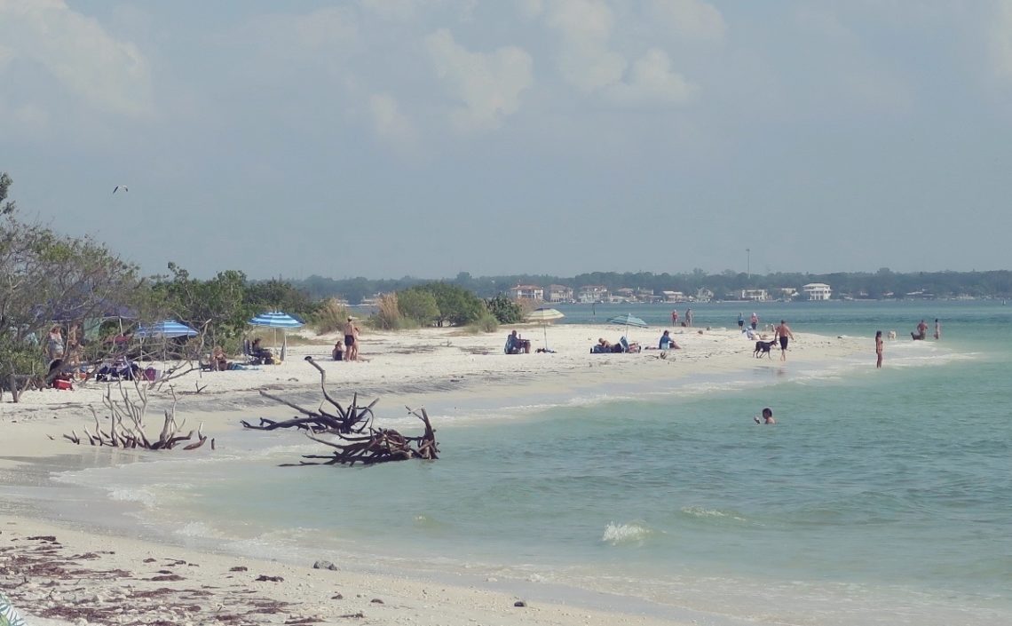 The best shelling beaches in Florida - Sunshine State Insider