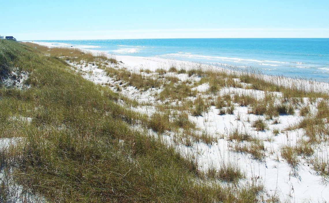 The best shelling beaches in Florida - Sunshine State Insider