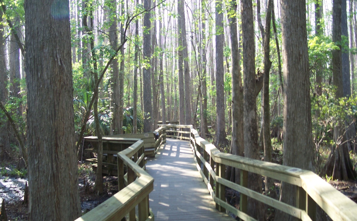 The Fifteen Best Florida State Parks for Hiking - Sunshine State Insider