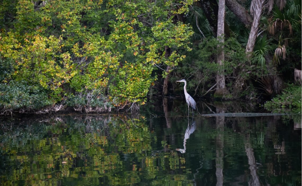 The Fifteen Best Florida State Parks for Hiking - Sunshine State Insider