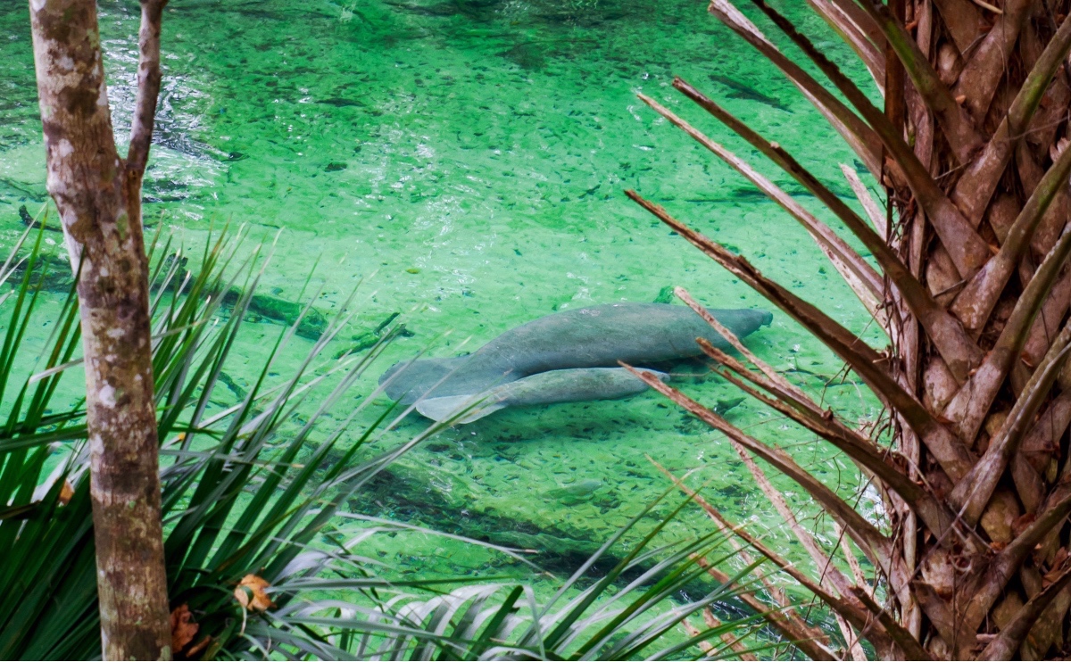 Ten great Florida State Parks near Orlando - Sunshine State Insider