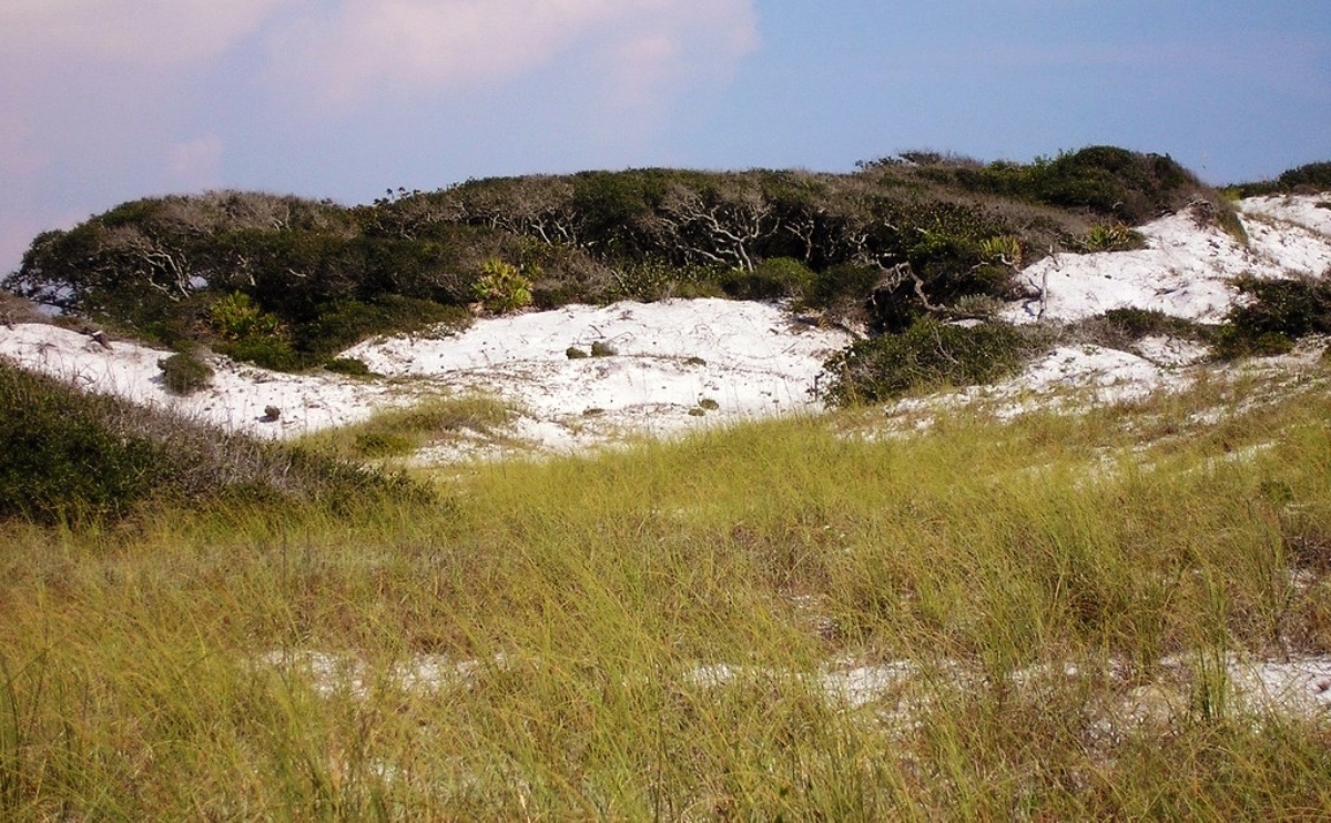Discover the Beauty of Florida: 25 Must-Visit Places - Sunshine State ...