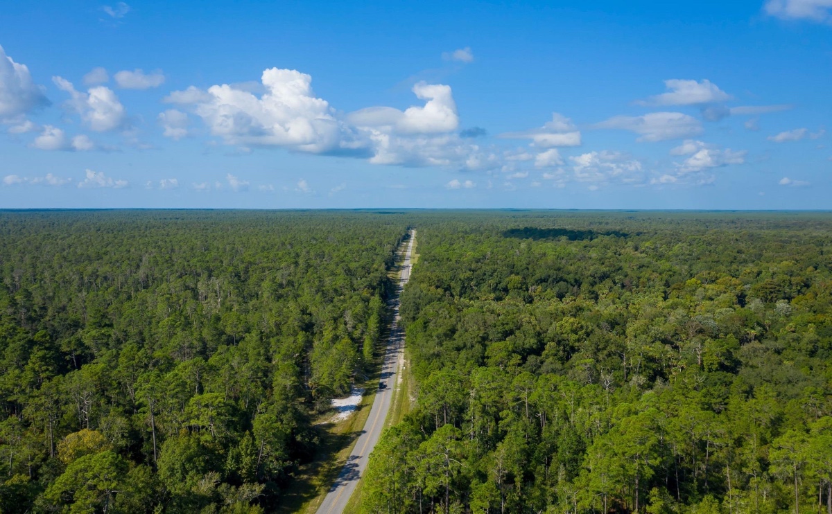 Top 5 Scenic Drives in Florida - Sunshine State Insider