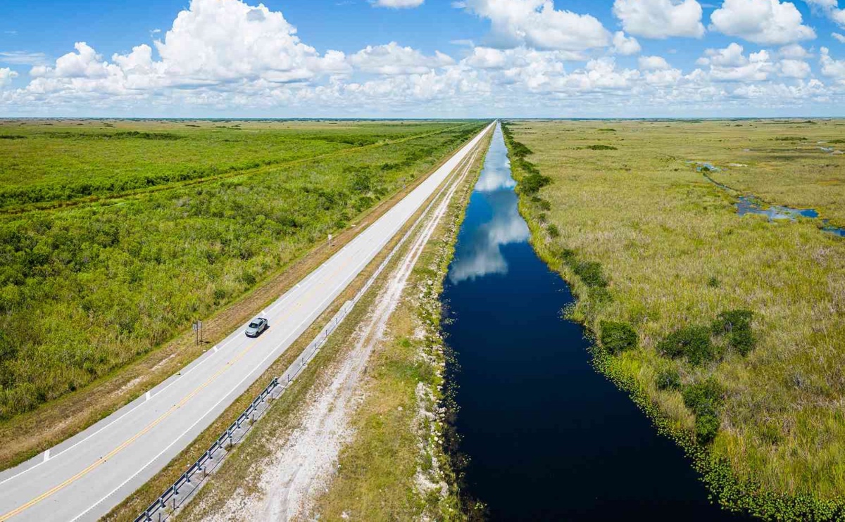 Top 5 Scenic Drives in Florida - Sunshine State Insider